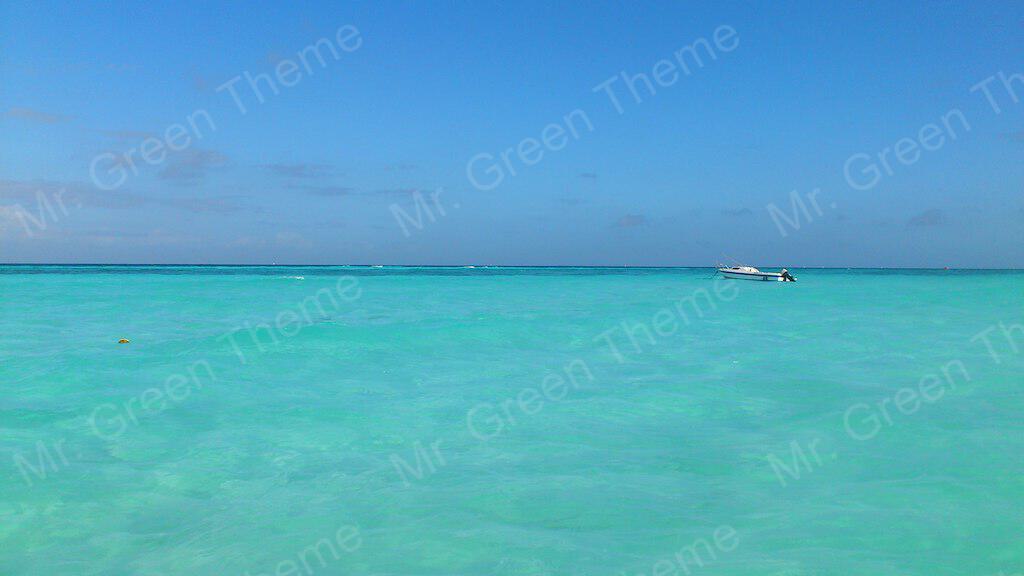 Ma Mingze - Experience